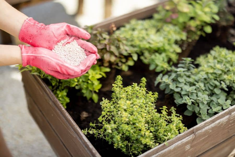Bedding Soil in McKinney, TX | Premium Garden Soil Delivery