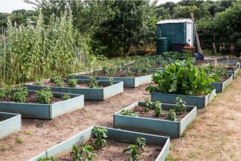 Bedding Soil in McKinney, TX | Premium Garden Soil Delivery