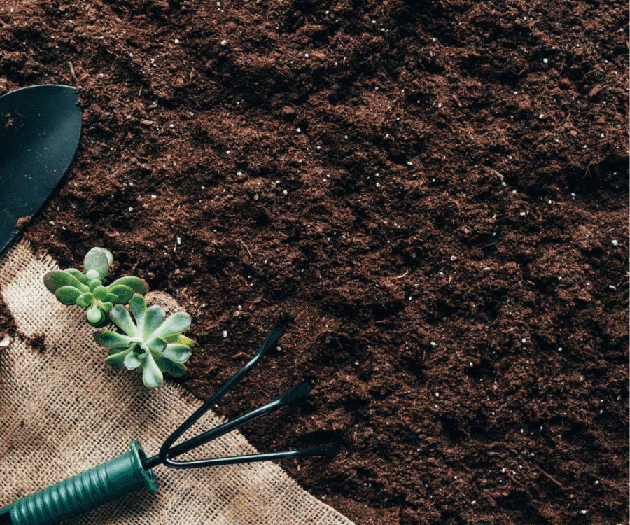 Nutrient-Rich Topsoil for Gardens & Lawns | JBS Express